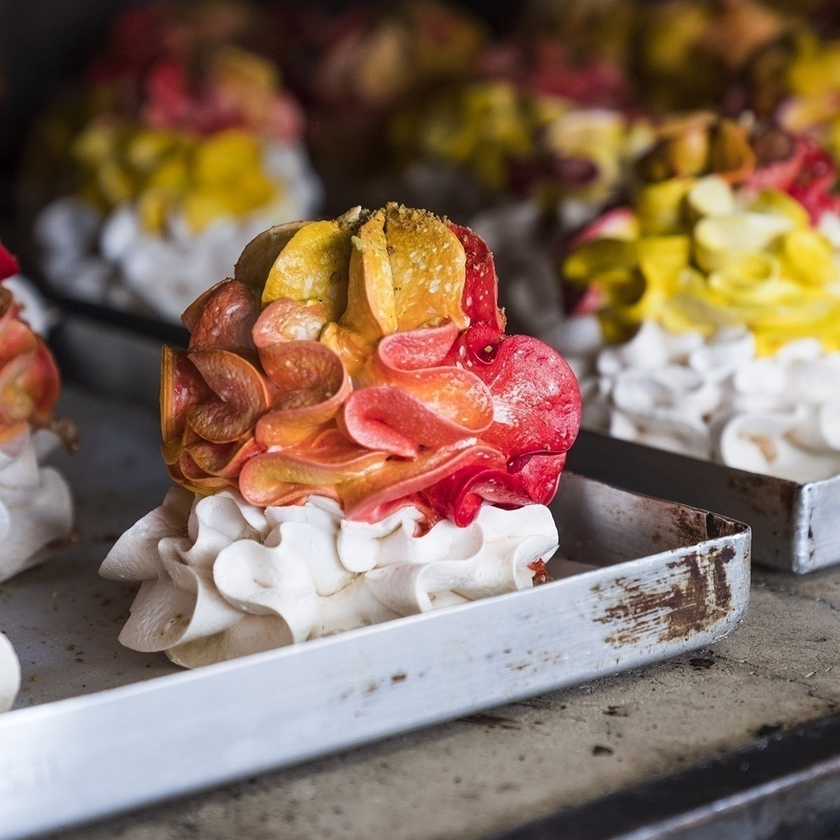 From Naser & Cheryl To You - The Story of Daci & Daci - Salamanca Fresh